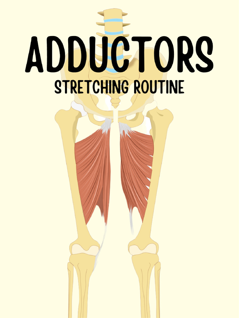 Adductors Flexibility Routine | PDF