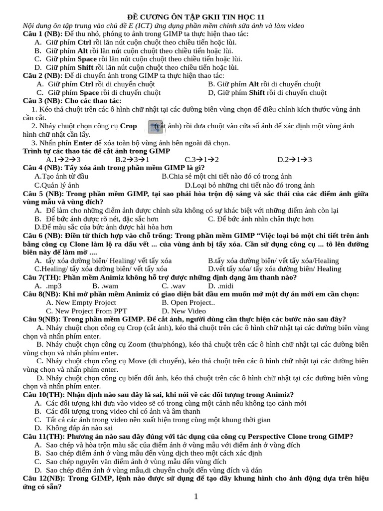 Đề Cương Tin GK2 K11 | PDF