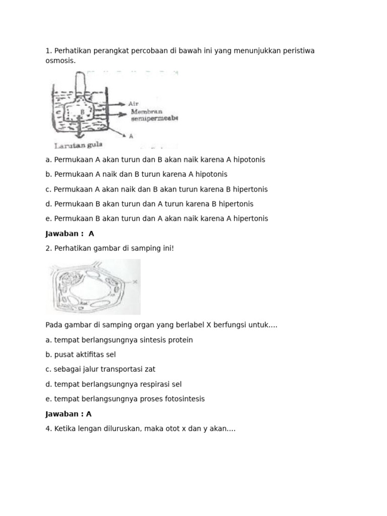 Contoh Soal Biologi Kelas 11 | PDF