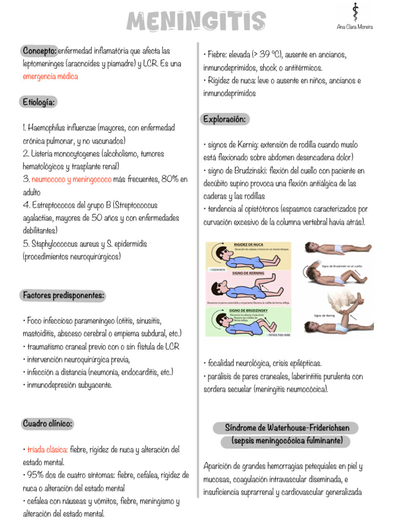Meningitis | PDF | Meningitis | Enfermedades y trastornos