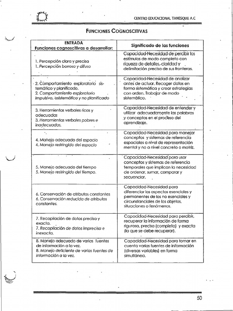 Funciones Cognitivas - Lectura Completa | PDF