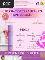 Tecnica Correcta de Especuloscopía | PDF | Vagina | Salud y bienestar