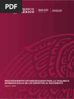 Formato1 Plan Tactico | PDF