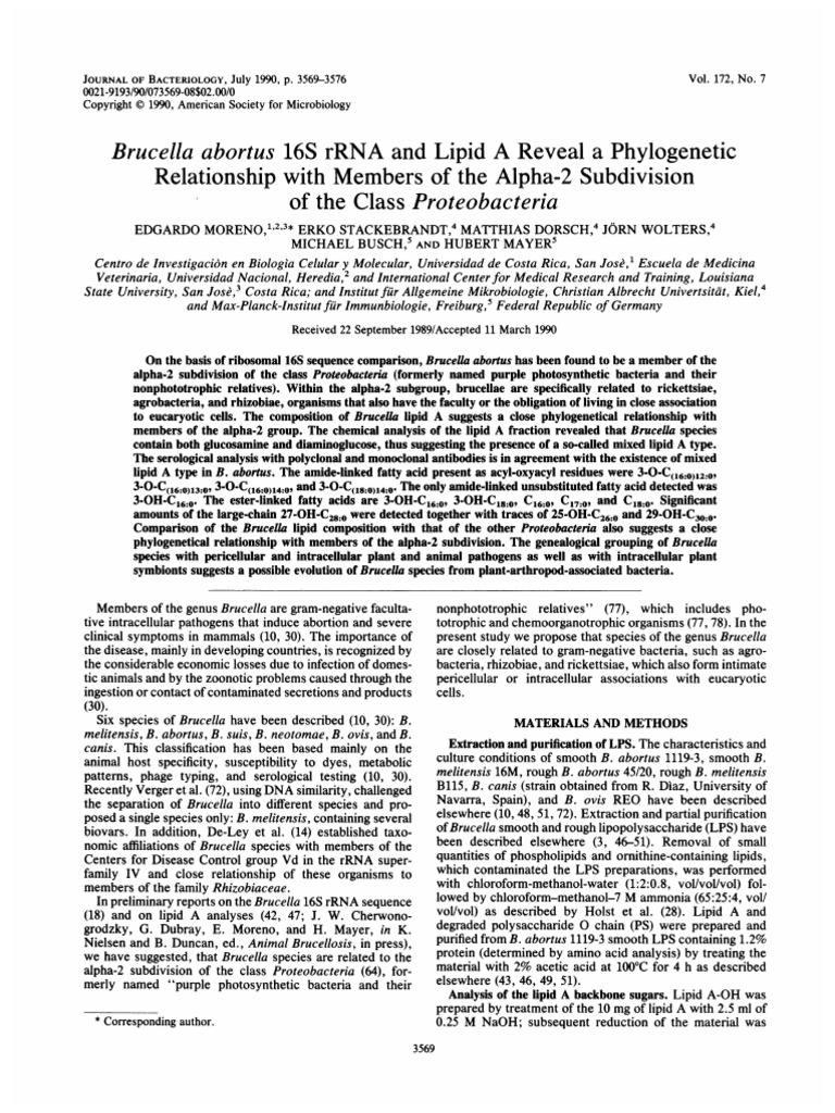 Moreno Et Al Brucella Abortus 16s Rrna and Lipid A Reveal A Phylogenetic Relationship With ...