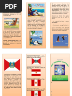 8 - RM - 461 - 2007 - Superficies Peruana | PDF | Alimentos