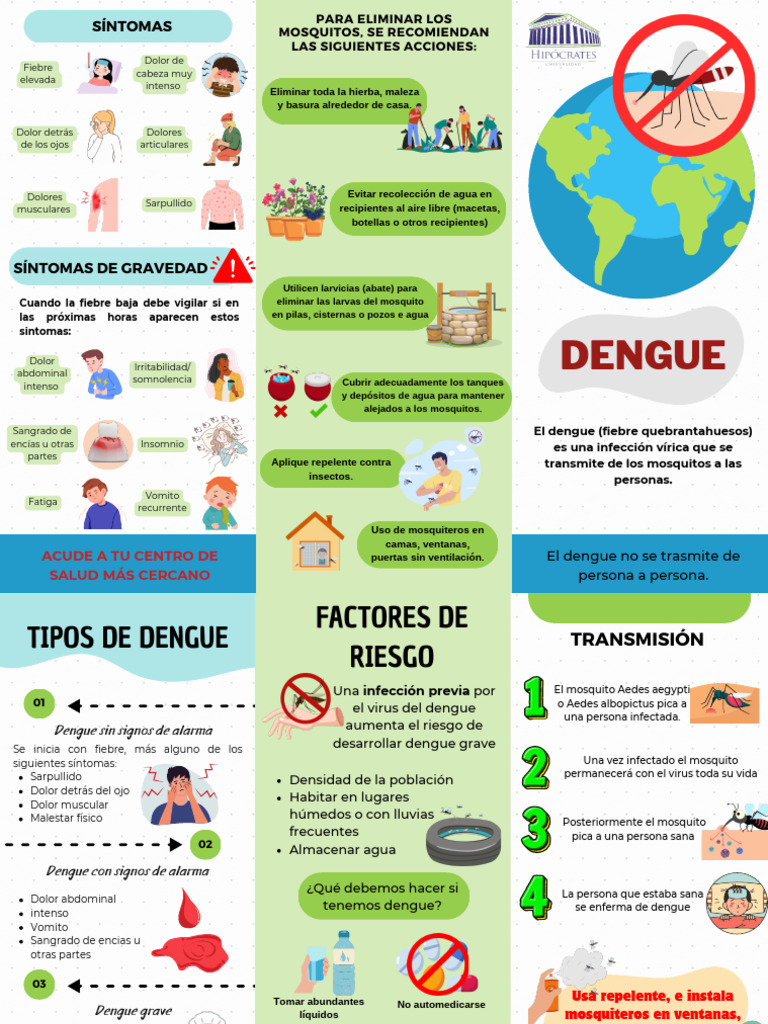 Tríptico Informativo sobre el Dengue | PDF | Enfermedades y trastornos ...