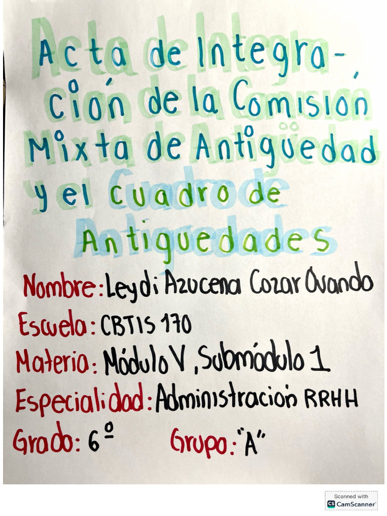 Acta de Integración y El Cuadro de Antig | PDF