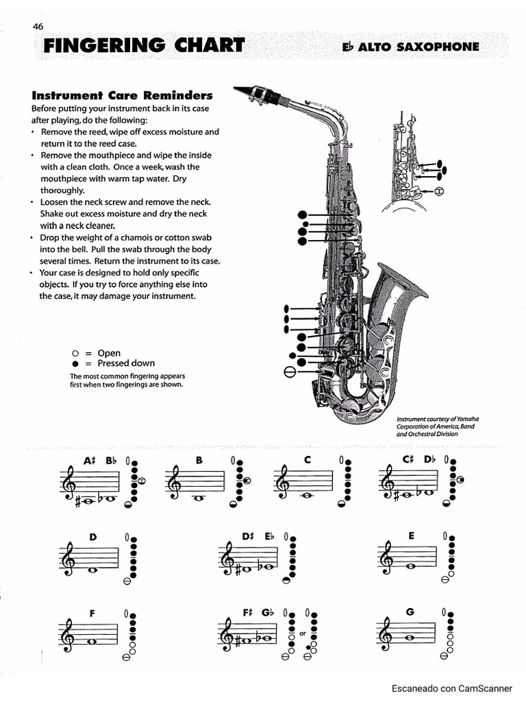 Posiciones de Saxo | PDF