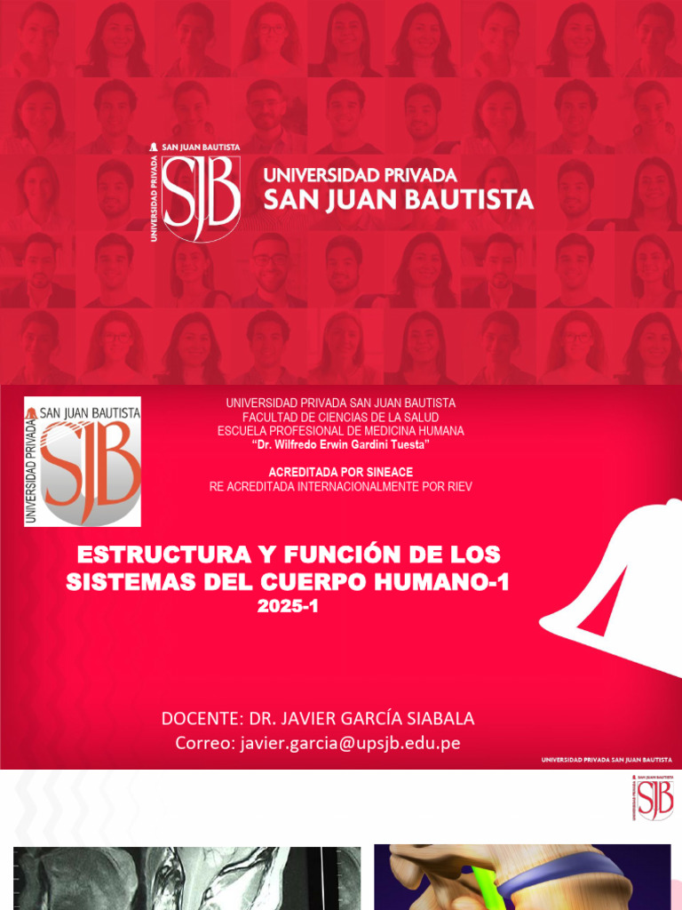 EFun 1 DR García 3 2025-1 | PDF | Vértebra | Hueso