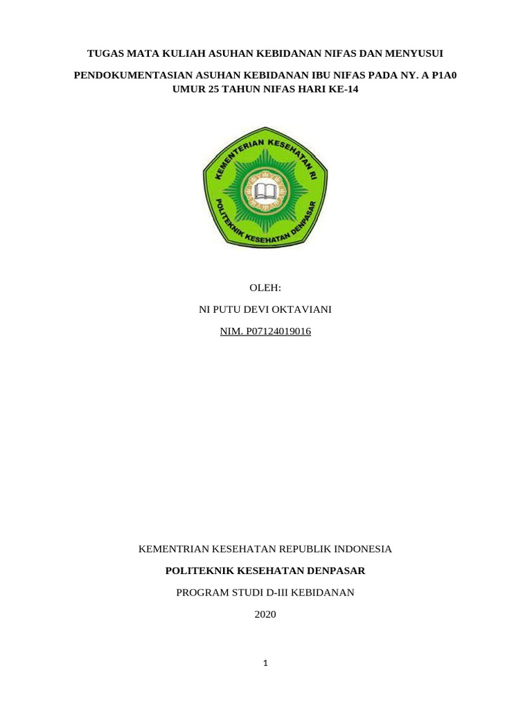 Dokumentasi Asuhan Ibu Nifas 14 Hari Postpartum - Ni Putu Devi Oktaviani (p071240191016) | PDF