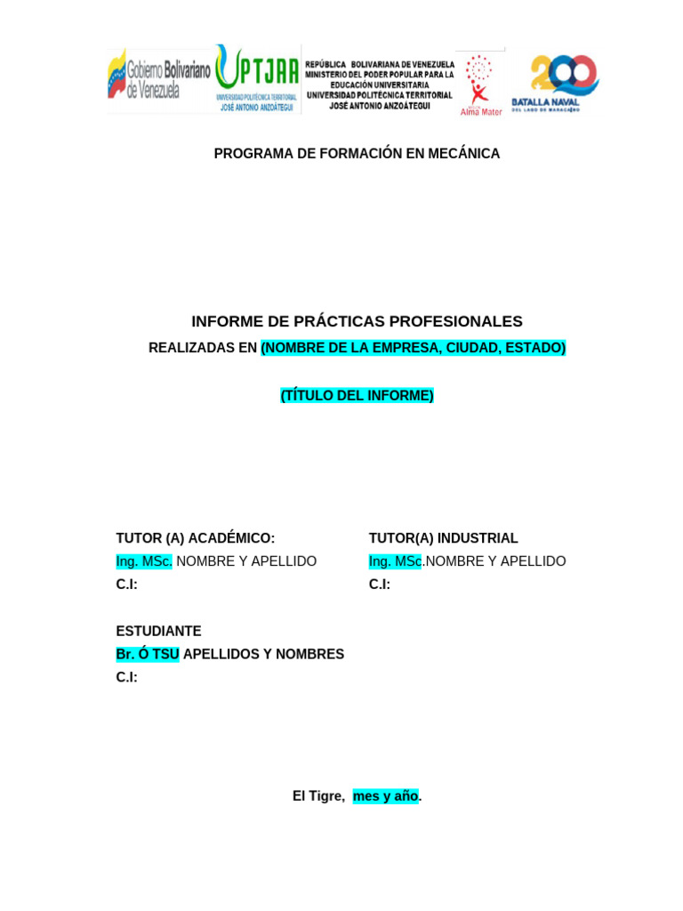 Aspectos Formales Redaccion y Complementarios Prácticas Profesionales ...