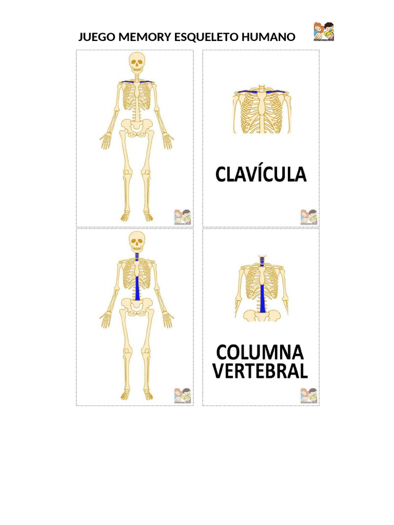Juego Memory Esqueleto Humano Word | PDF