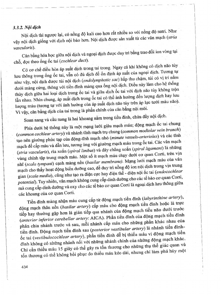 GIẢI PHẪU HỌC YDS 2023 Tập 2-Trang-220 | PDF