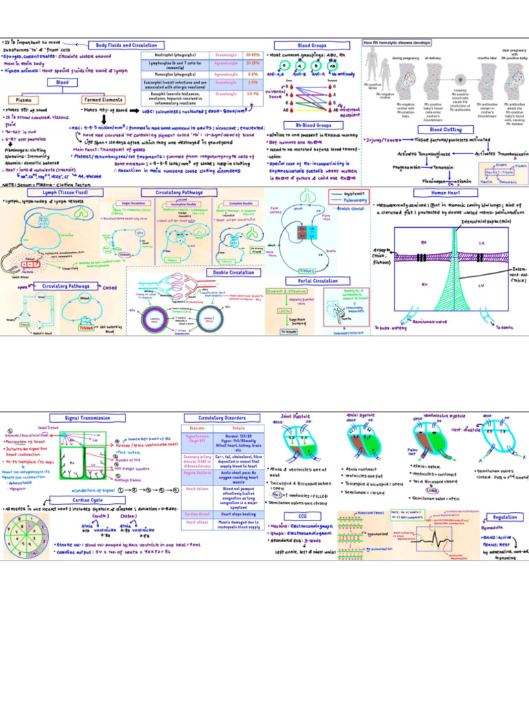 Merged Document (1) (N-Up 2x2) | PDF