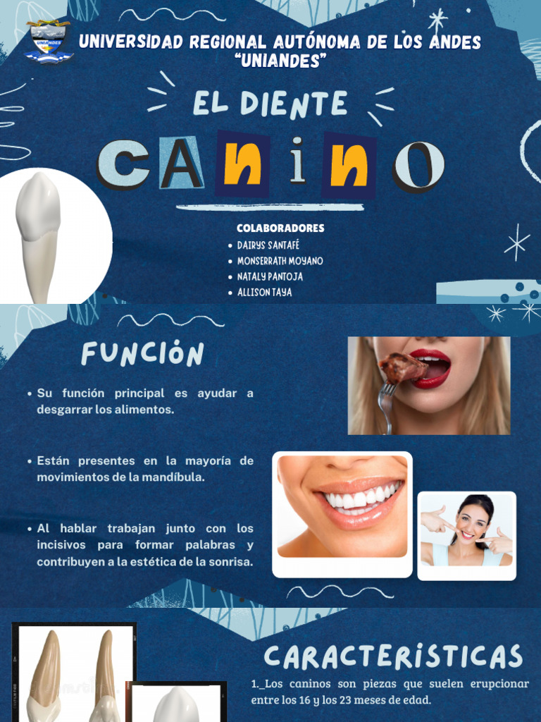 Los Dientes Caninos | PDF