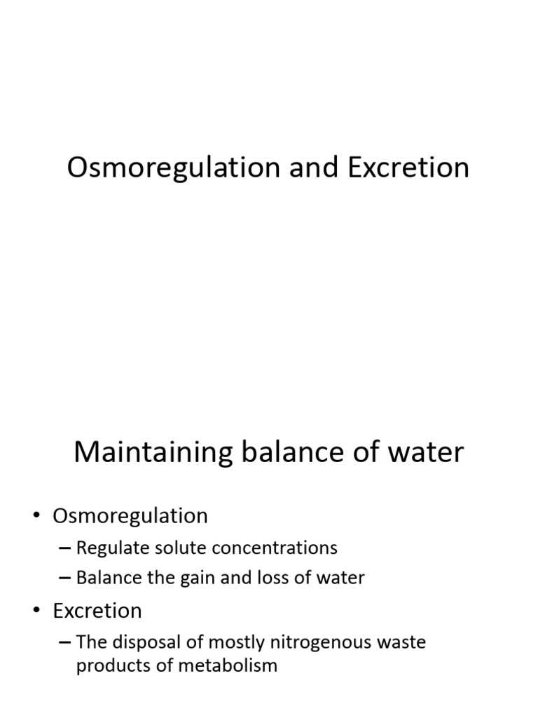 Osmo Regulation | PDF