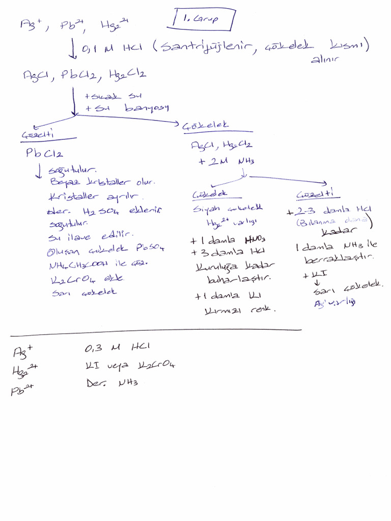 Analitik Uygulama-1 Prosedürler | PDF