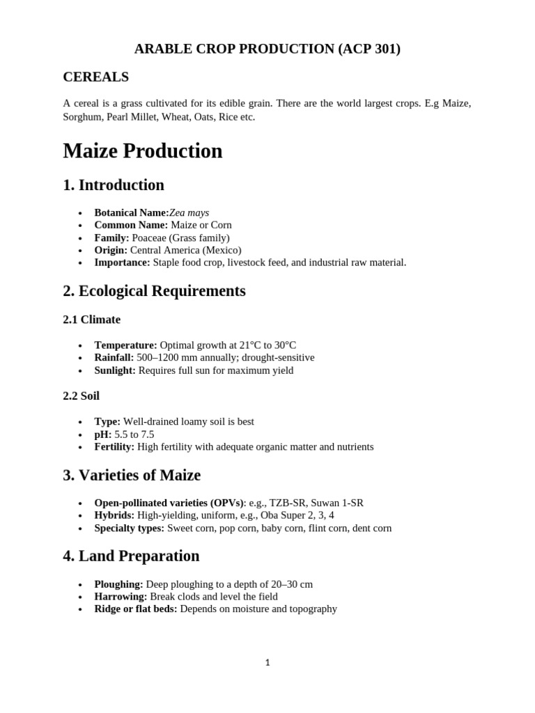 Examples of Cereals and Tubers | PDF | Rice | Maize