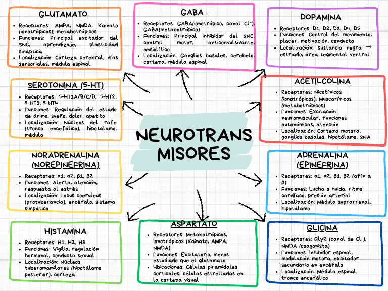 Mapa Conceptual de Los Neurotransmisores Del SNC (Oscar Cordova) | PDF | Norepinefrina ...