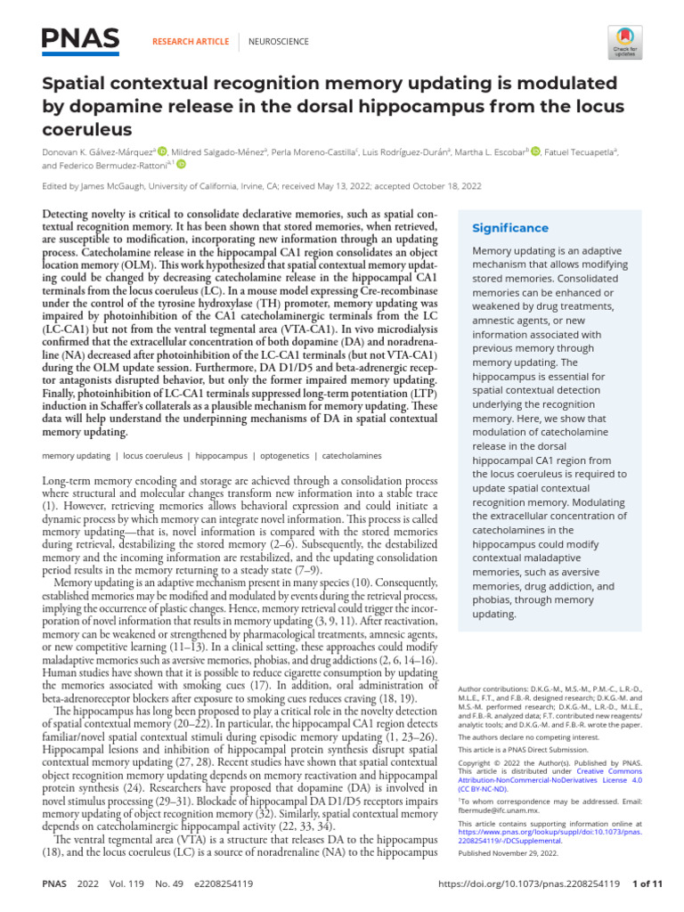 Spatial Contextual Recognition Memory Updating Is Modulated by Dopamine ...