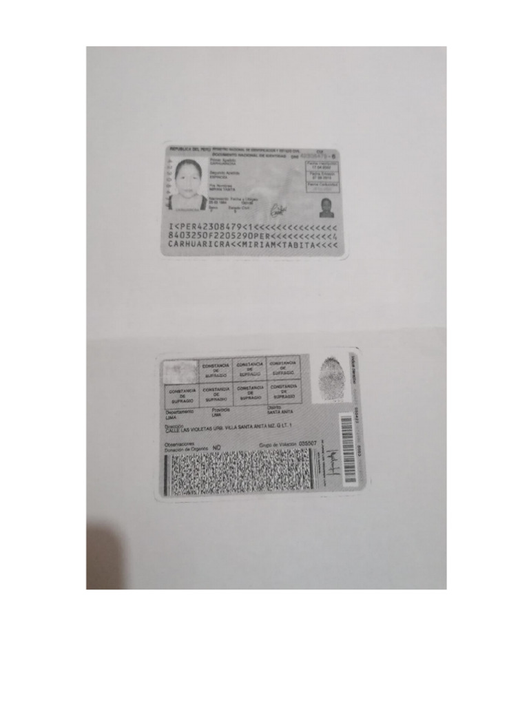 Documento (1) WPS Office | PDF