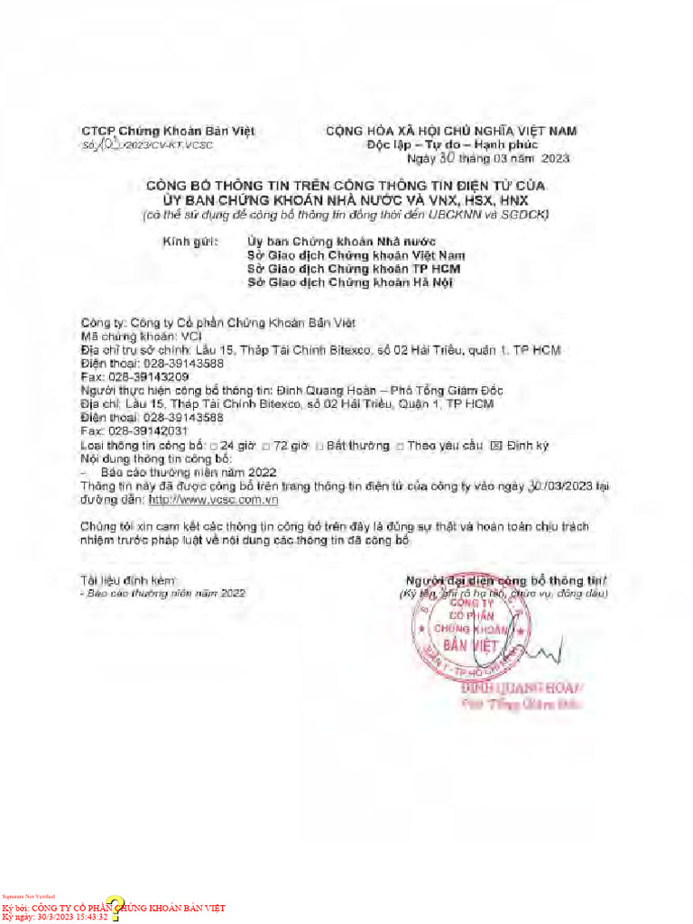 VCI - BCTN Nam 2022 | PDF