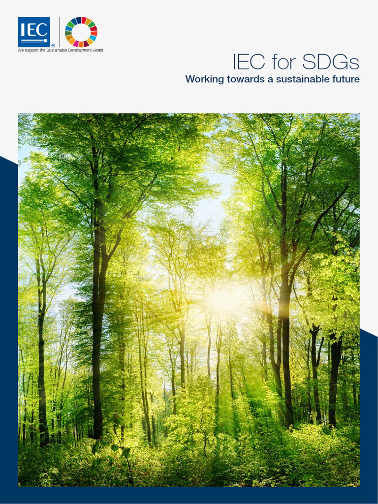 2024 Iec For Sdgs A4 en LR | PDF | Sustainability | Sustainable Development