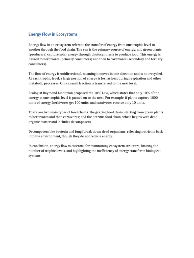 Energy Flow in Ecosystems | PDF