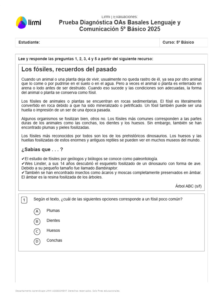 Evaluación Diagnóstica 5º Básico 2025 | PDF | Fósil
