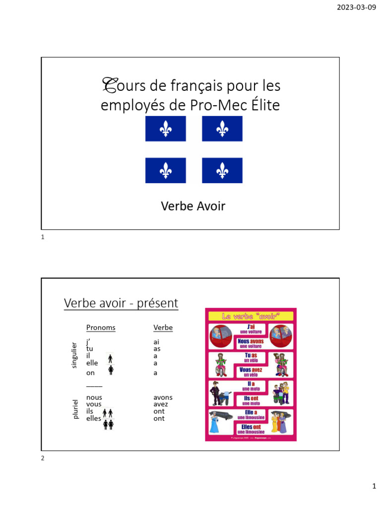 Cours de français : Verbe Avoir et Expressions | PDF | Ouverture ...