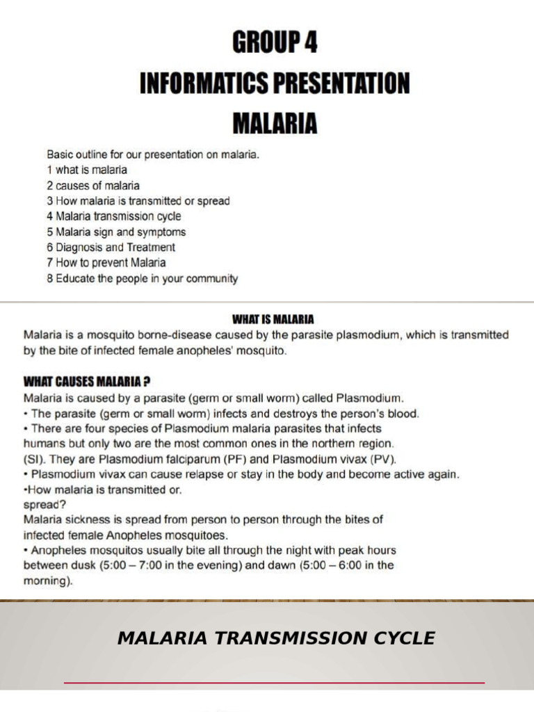 Group 4 Presentation | PDF