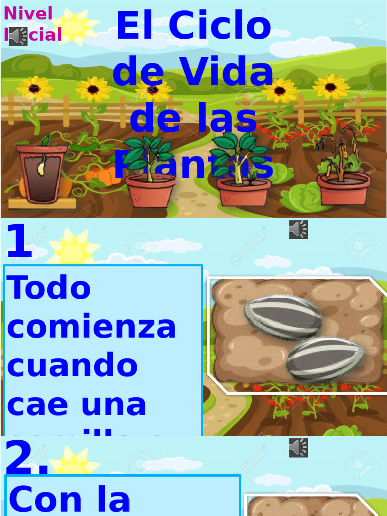 ? Ciclo de Vida de Las Plantas | PDF