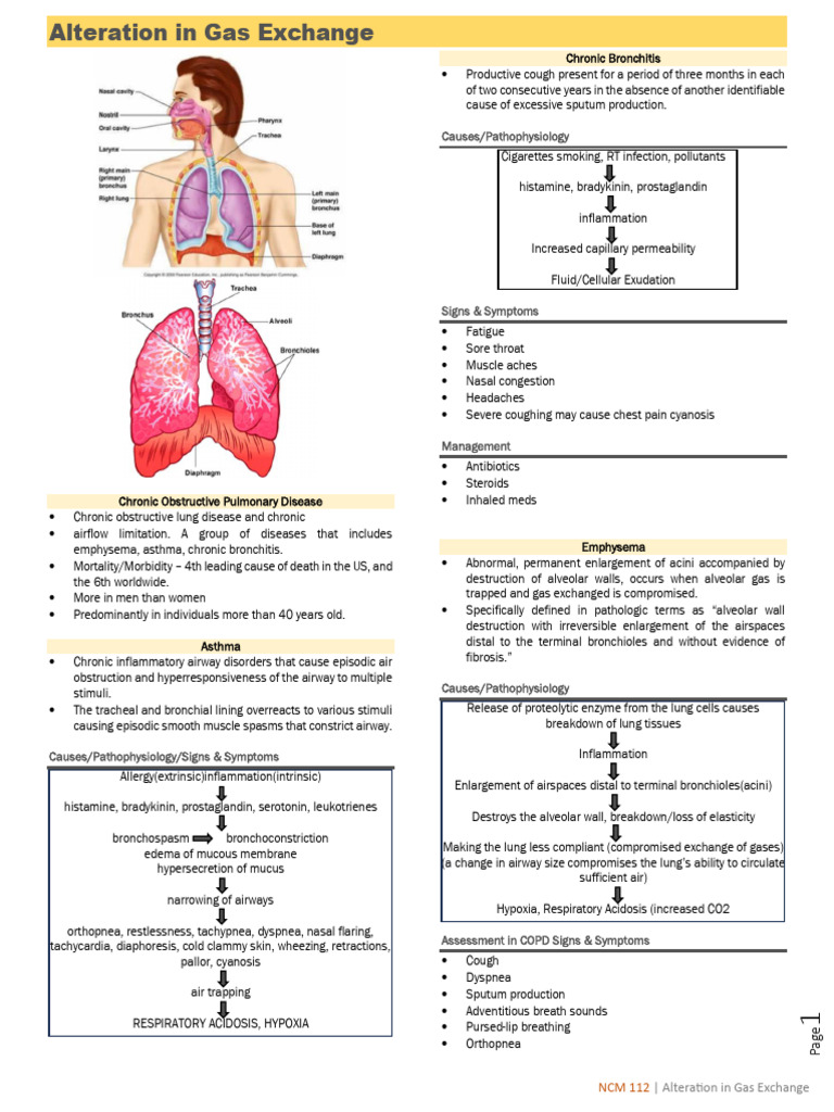 Alteration in Gas Exchange | PDF | Thrombosis | Lung
