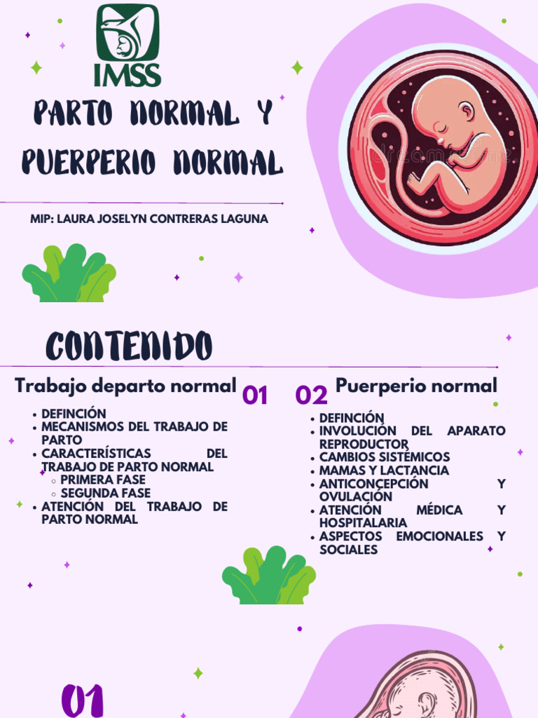 Parto Normal y Puerperio Normal | PDF | Parto | Maternidad