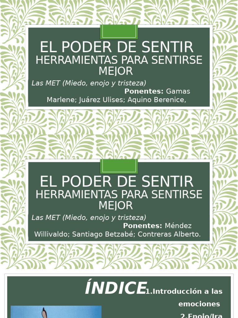 El Poder de Sentir Exposicion | PDF | Las emociones | Ira