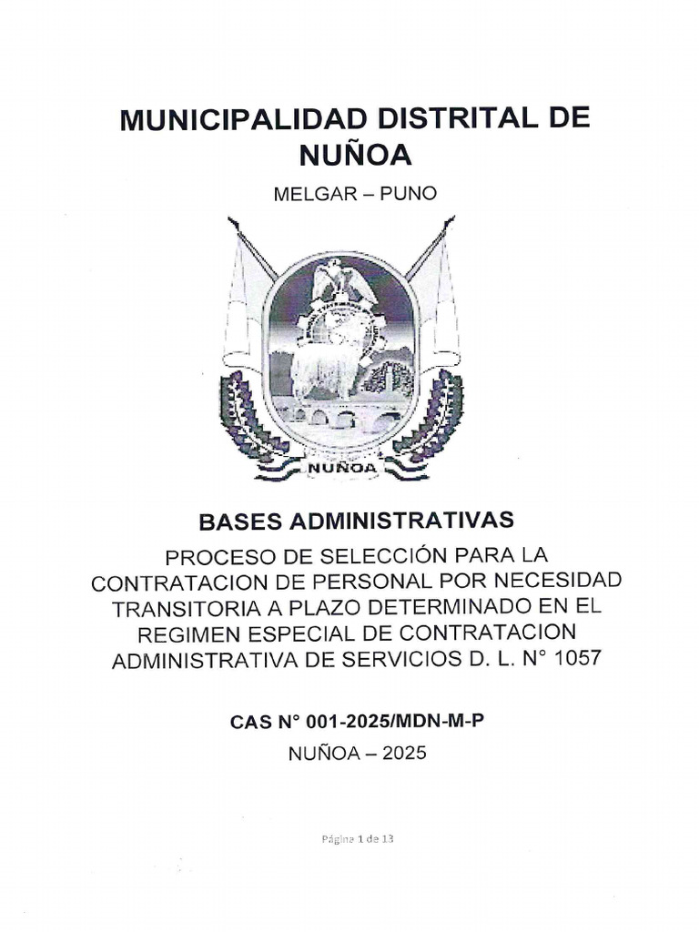 Bases de Convocatoria Cas 01 2025 MDN M P | PDF