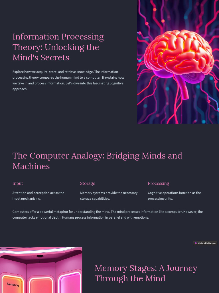 Information Processing Theory Unlocking The Minds Secrets | PDF | Memory | Information