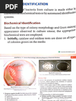 GUS Staining Protocol for Transformed Tissues | PDF | Fixation ...