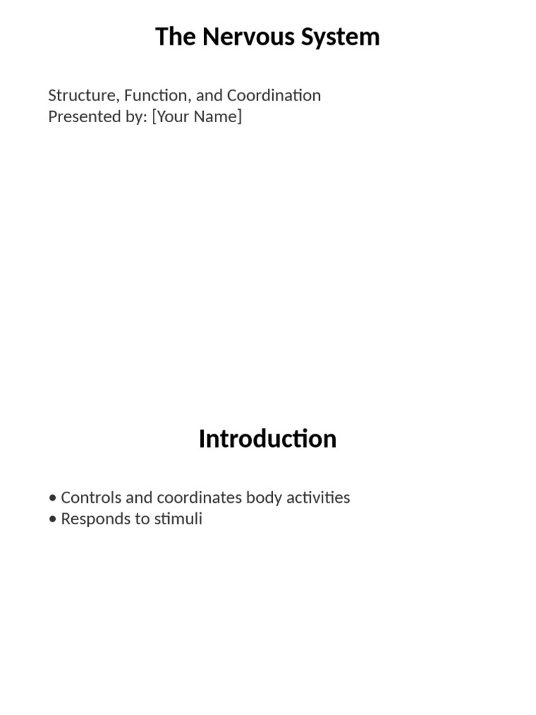 Overview of the Nervous System | PDF
