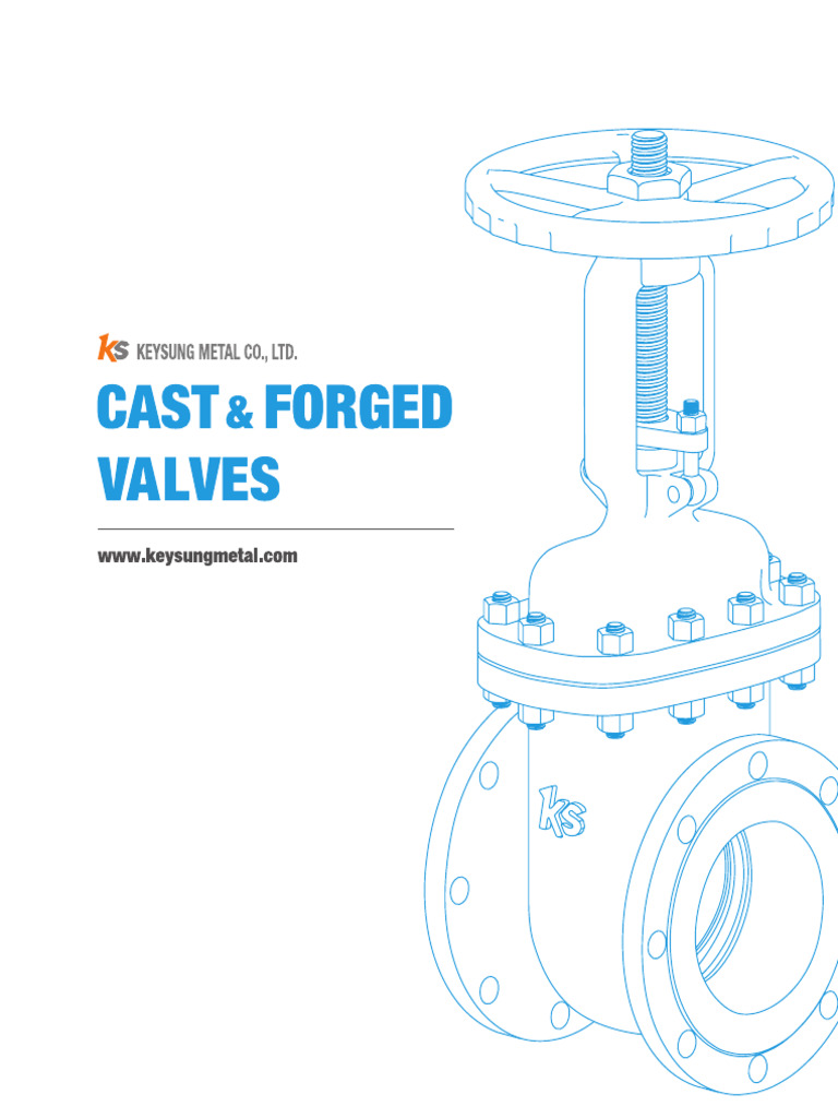 Key Sung Metal (Final) | PDF