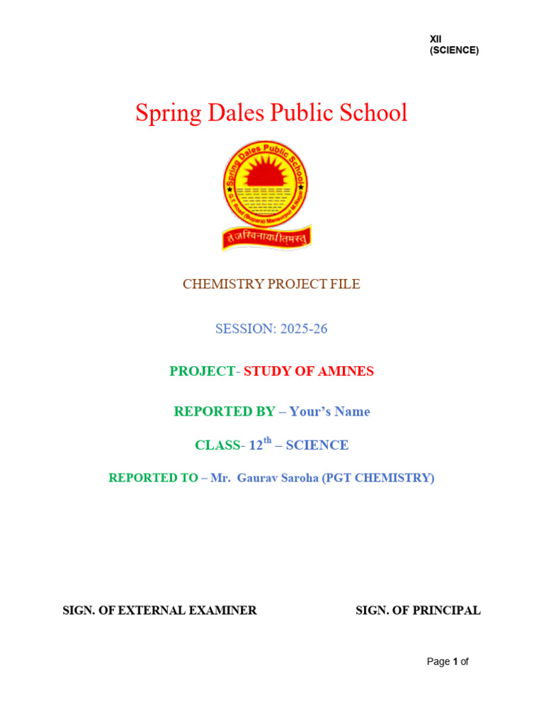 Chemistry Project On Amines | PDF | Amine | Hydrogen Compounds