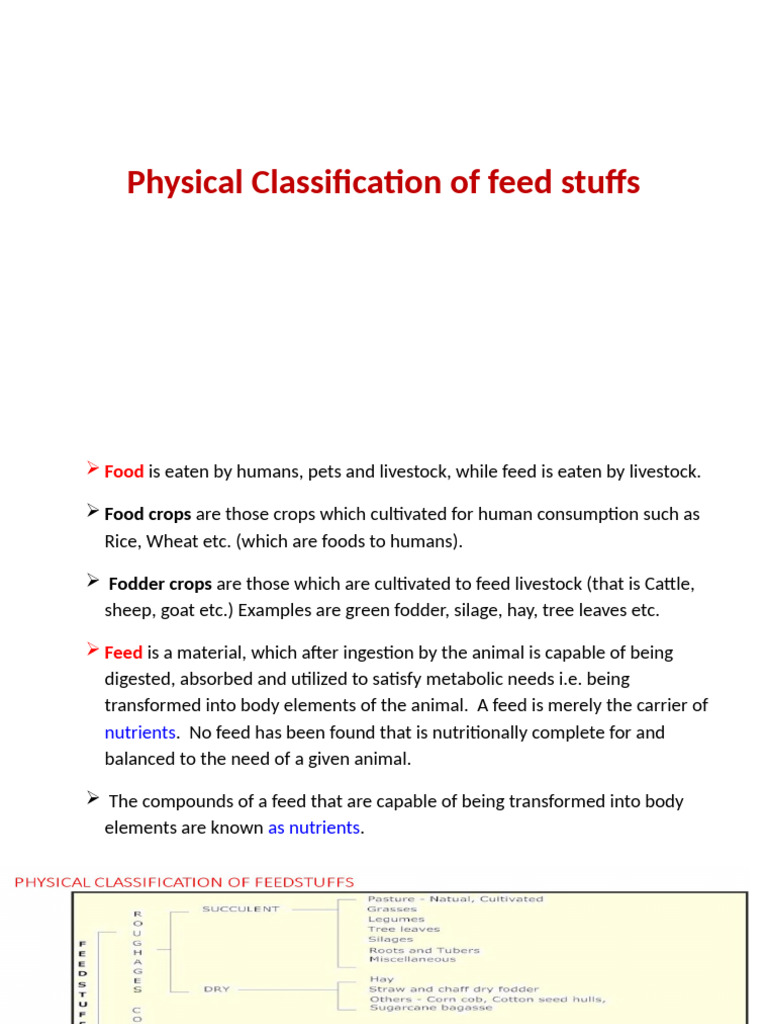 Physical Classification of Feed Stuffs | PDF | Cereals | Fodder