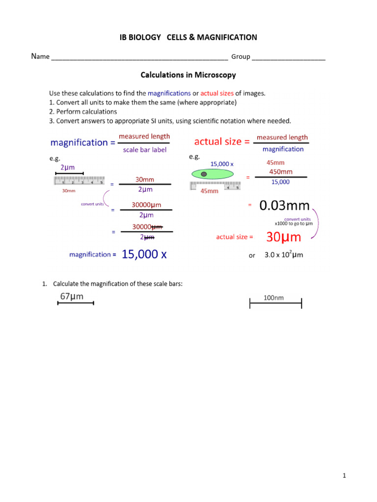 Magnification | PDF