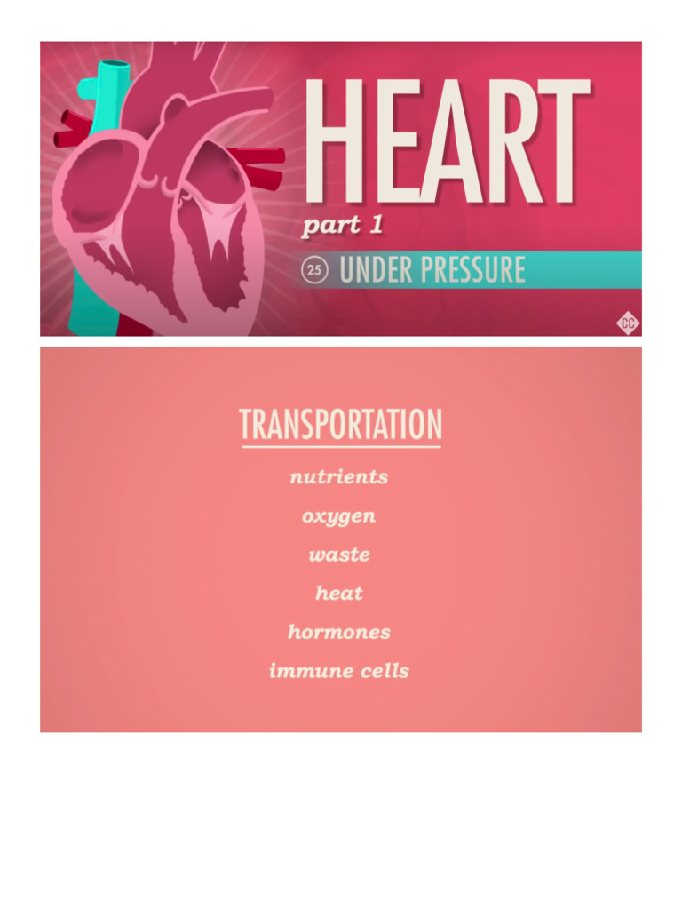 Heart | PDF