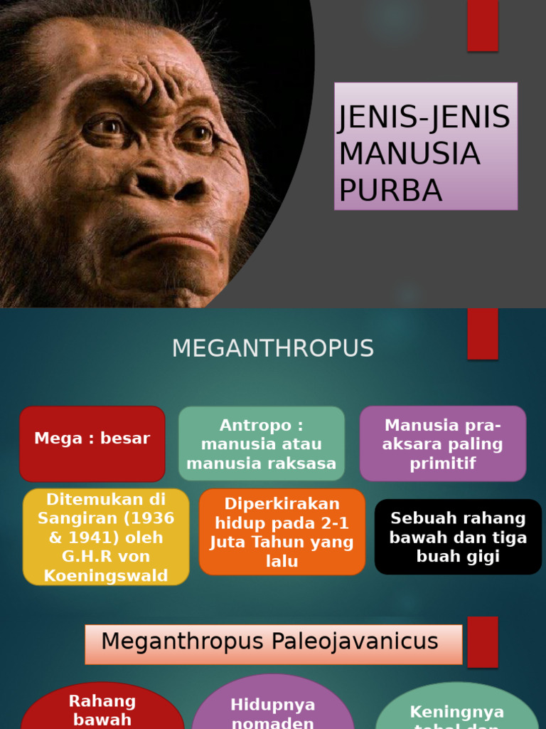 Jenis-Jenis Manusia Purba di Indonesia | PDF