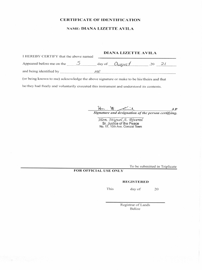 TSF of Land & Certificate of Identificatio Form | PDF | Central America ...