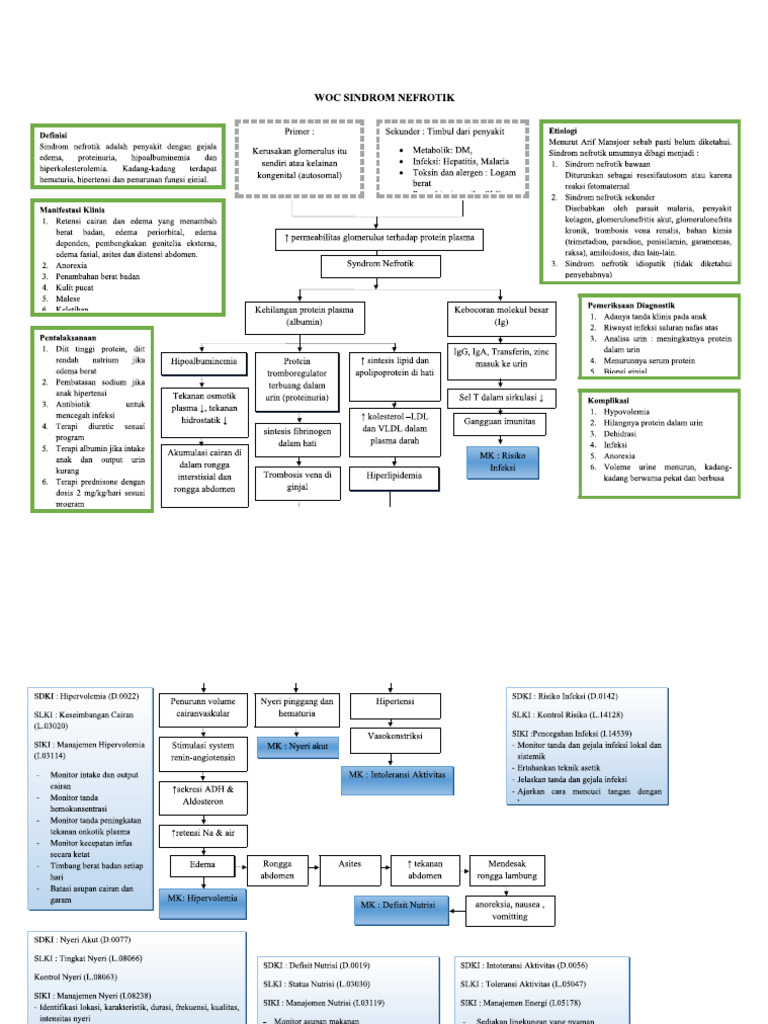 Woc Sindrom Nefrotik Compress | PDF