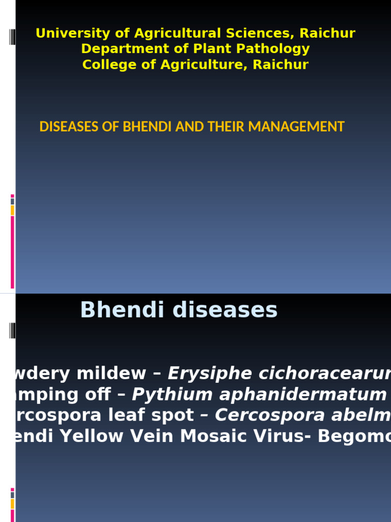 Bhendi Diseases and Management Guide | PDF | Organisms | Branches Of Botany