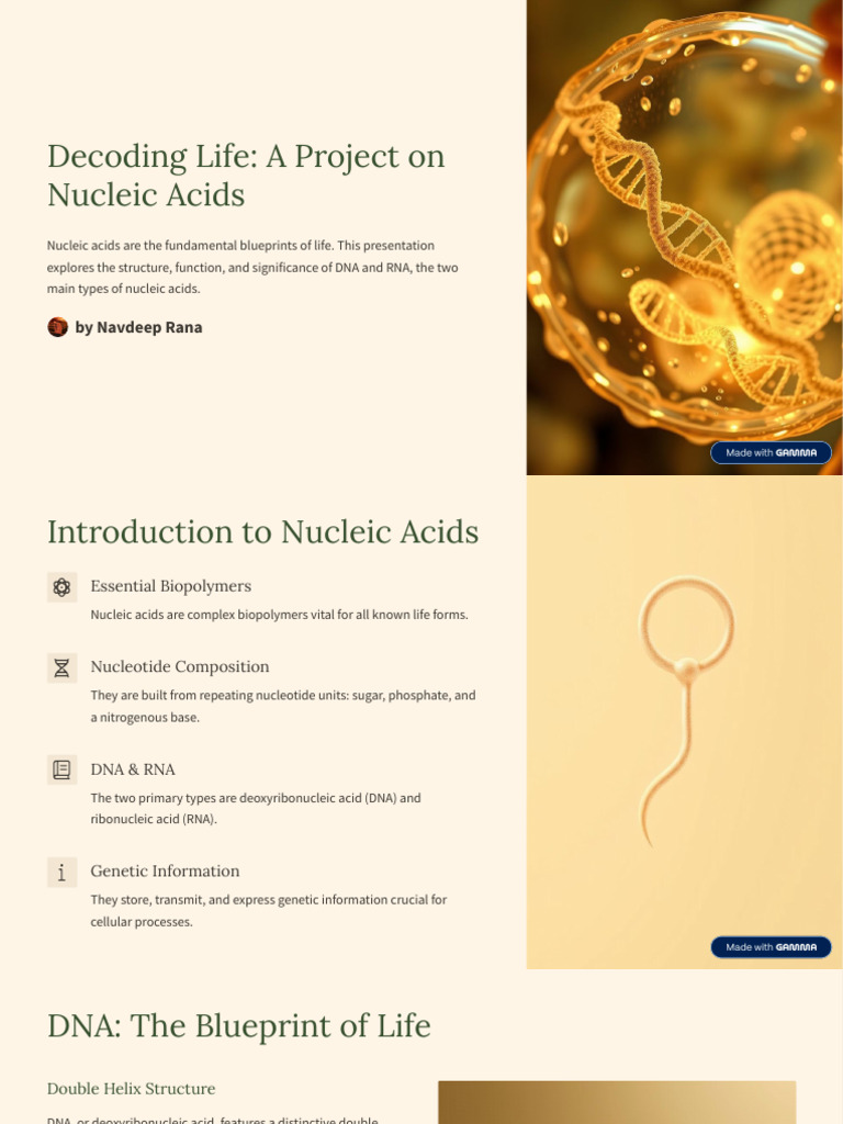 Decoding Life A Project On Nucleic Acids | PDF | Rna | Dna
