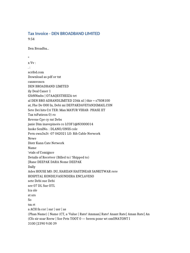 DEN Broadband Invoice Summary | PDF